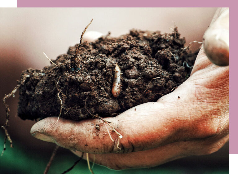 Our Solutions | Fa Bio