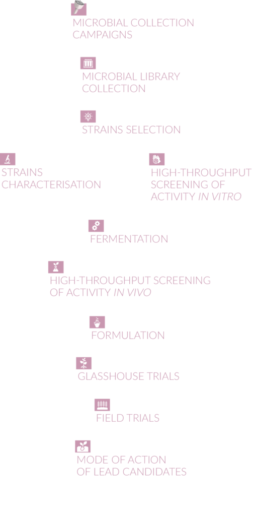 Our Solutions | Fa Bio